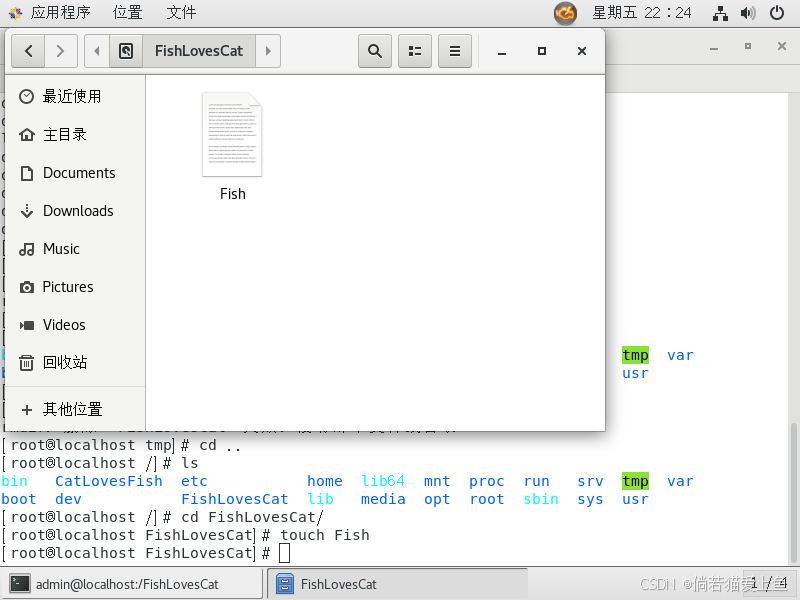 7.20 Day7 Linux常见命令(散记)_linux nfo-CSDN博客