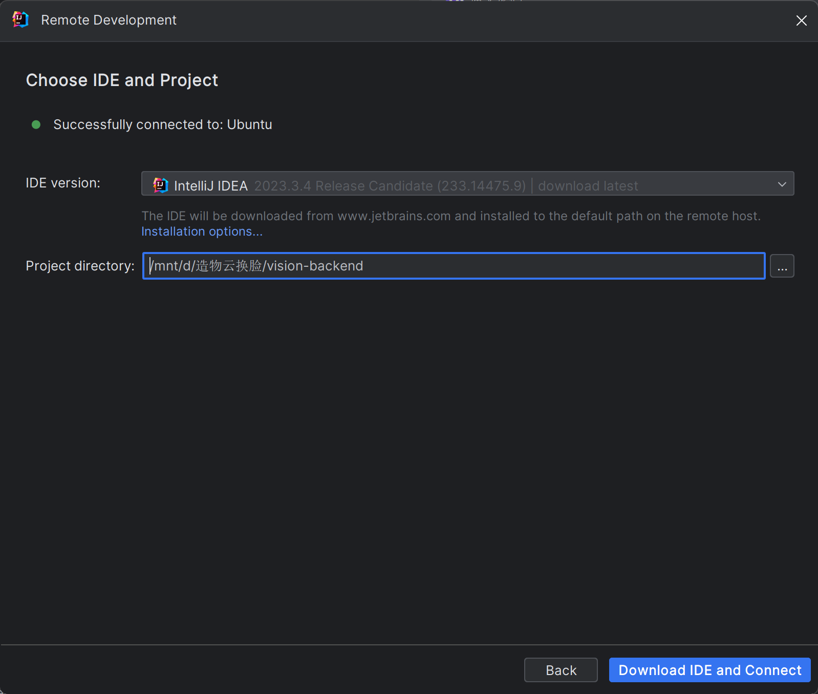 安装WSL并运行Java项目_wsl java-CSDN博客