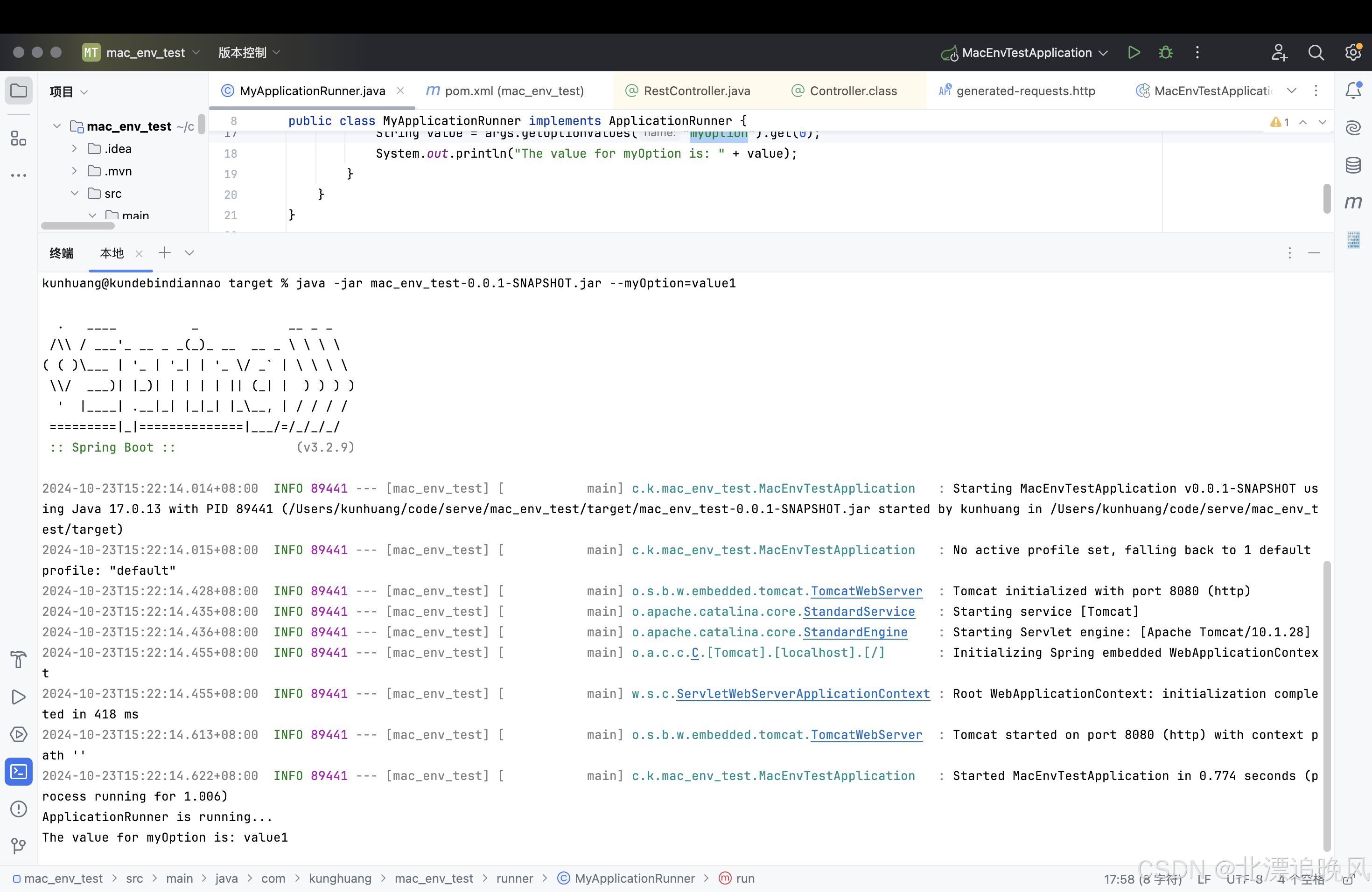Springboot之ApplicationRunner_springboot applicationrunner-CSDN博客