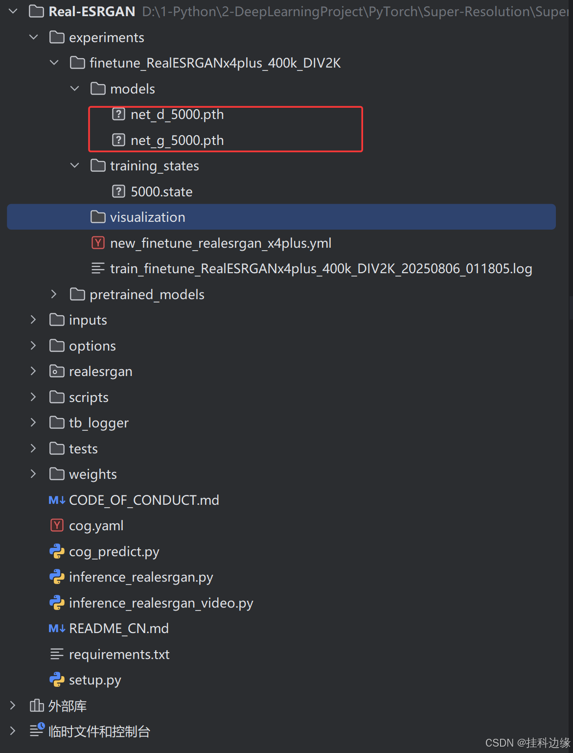 手把手教你使用Real-ESRGAN图片超分辨率重建训练和推理，含完整代码和数据集，全网最详细教程-CSDN博客