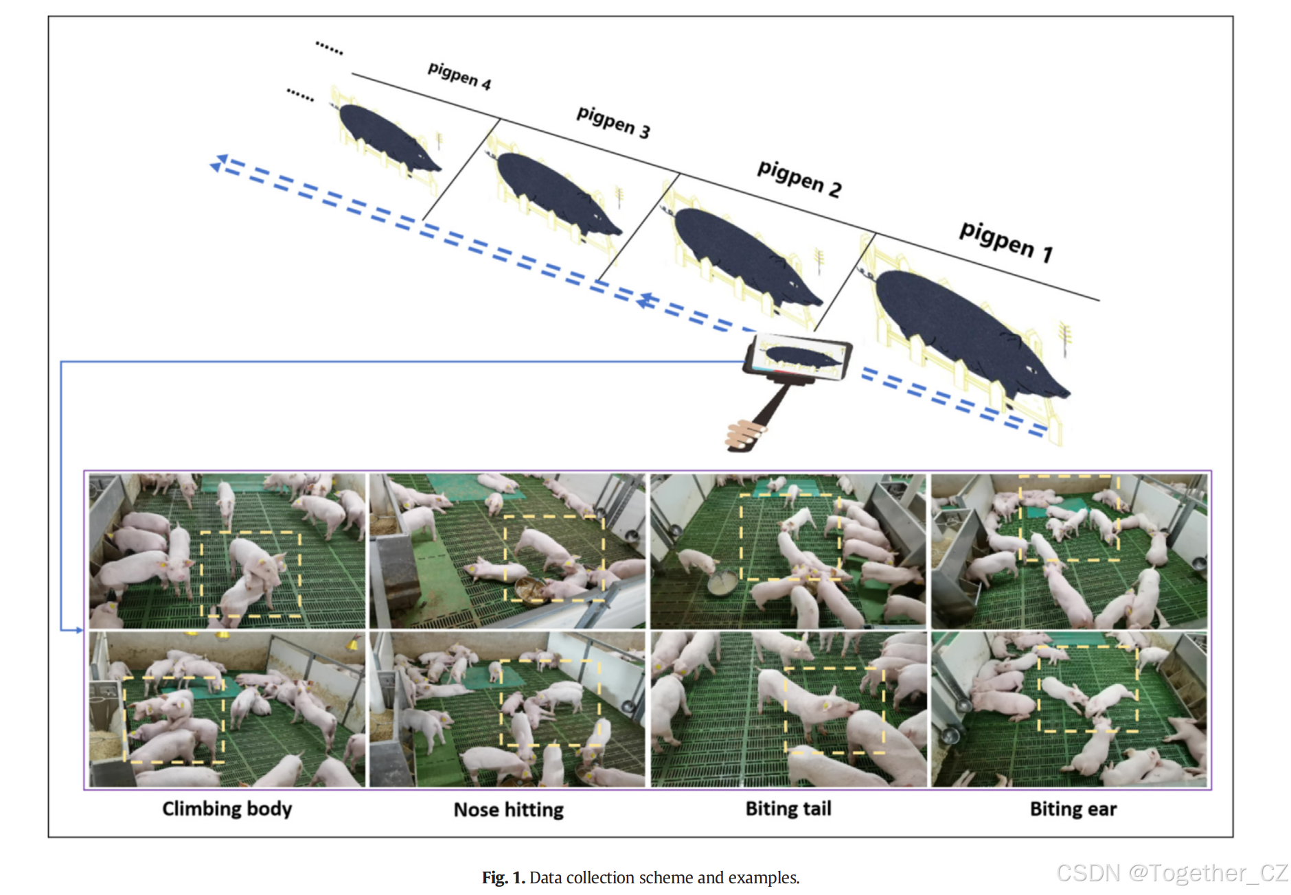 PAB-Mamba-YOLO: VSSM assists in YOLO for aggressive behavior detection among weaned piglets断奶仔猪的 ...