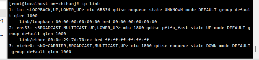 Linux网络命令与DNS域名和DHCP服务-CSDN博客