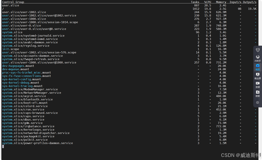 linux系统命令：用于监控和分析操作系统控制组的资源使用情况的工具systemd-cgtop详解-CSDN博客