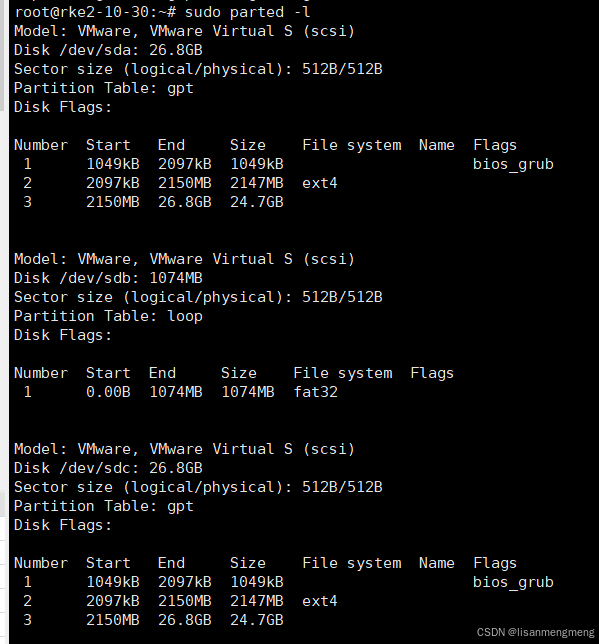 parted 命令介绍和使用案例_parted -l-CSDN博客
