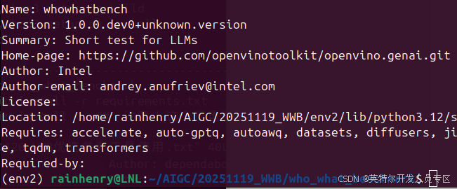 【手把手教程】解锁OpenVINO™ WWB：GenAI模型优选从此So Easy-CSDN博客