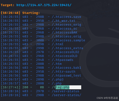 CTF-WEB-eval_ctf eval-CSDN博客