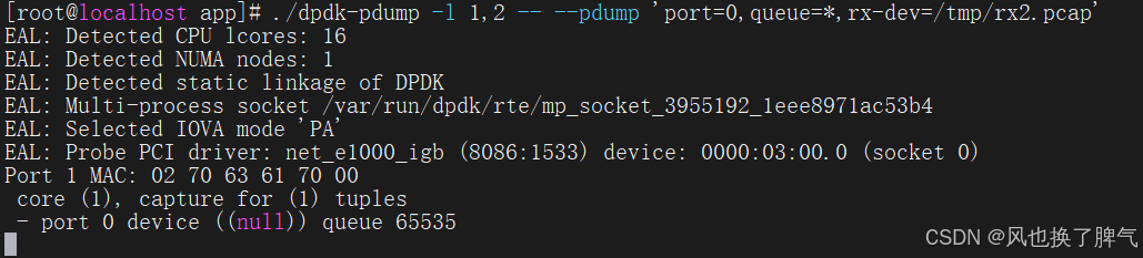DPDK抓包工具dpdk-pdump使用教程-CSDN博客