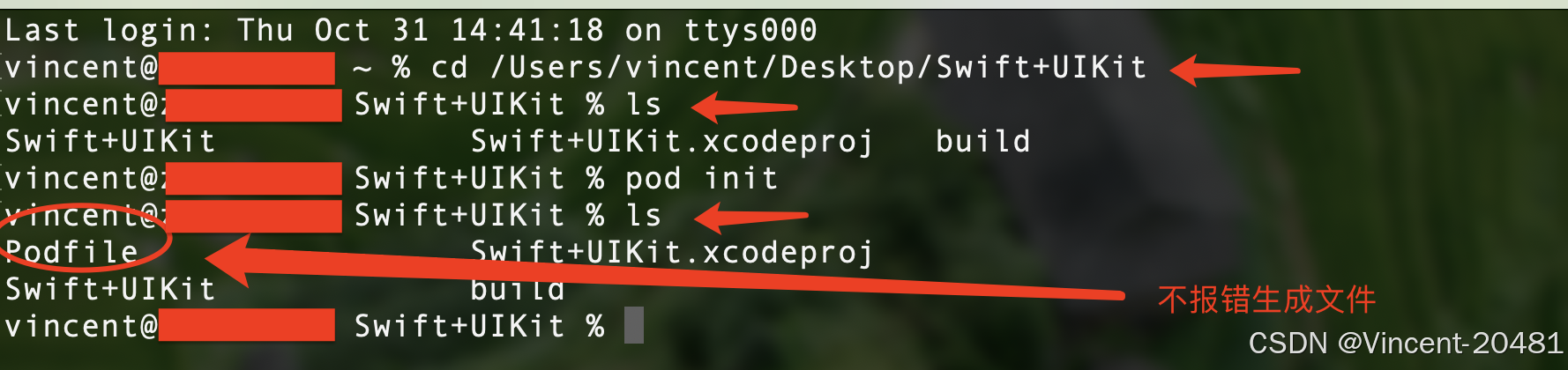iOS开发学习-从 0-1 手把手教你创建一个 Swift+UIKit 项目_ios开发教程-CSDN博客