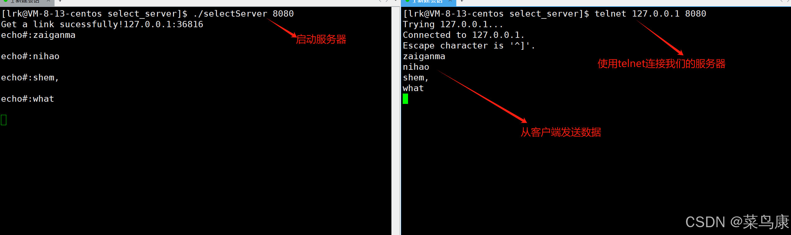 Linux网络编程——I/O多路转接(1)之 select_linux下的sokcet select 编程-CSDN博客