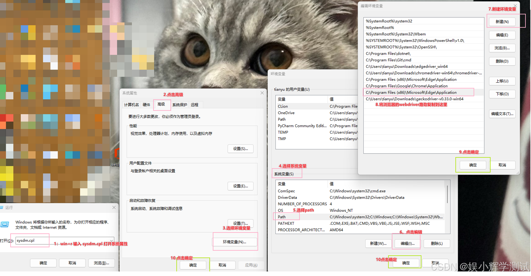 Selenium入门web自动化测试小案例，及webdriver的环境变量的配置webdriver配置环境变量 Csdn博客