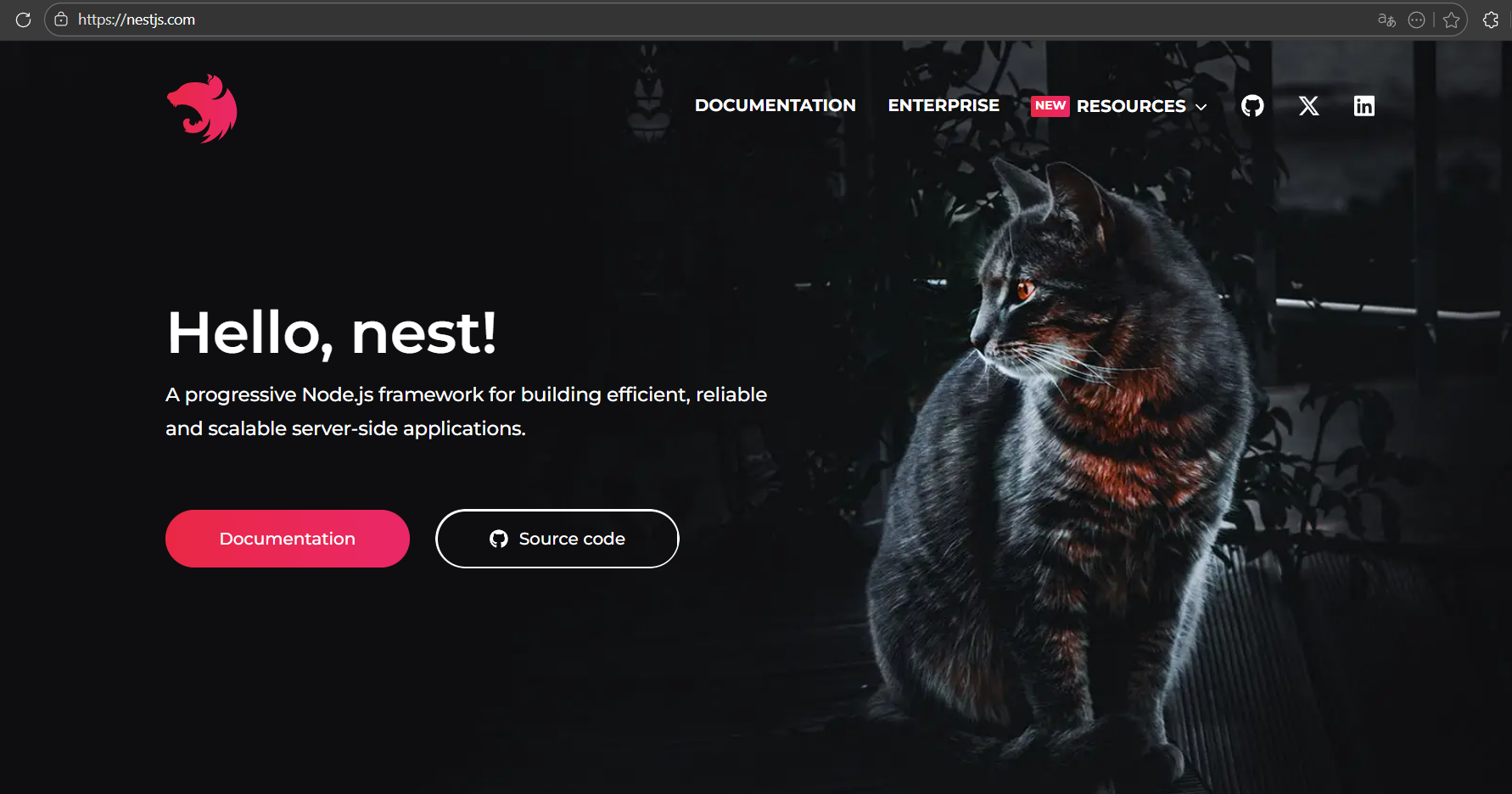 为什么选择NestJS？-CSDN博客