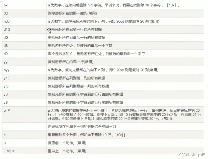 Linux—day02-CSDN博客