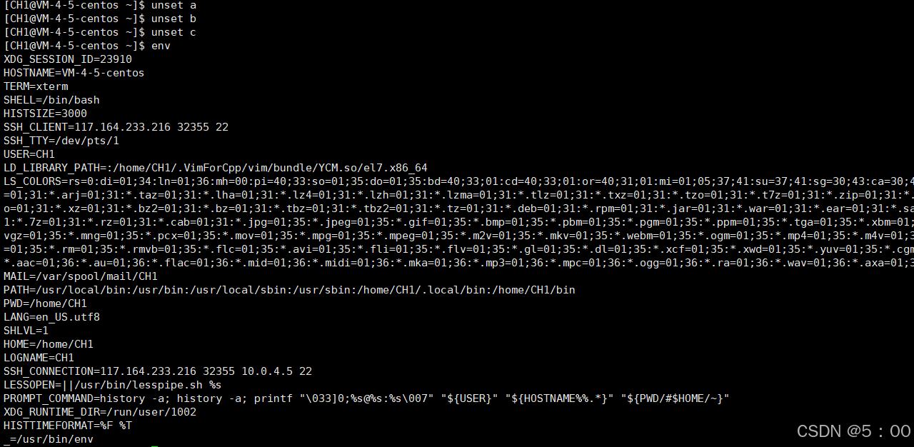 Linux：进程概念（四.main函数的参数、环境变量及其相关操作）_linux main-CSDN博客