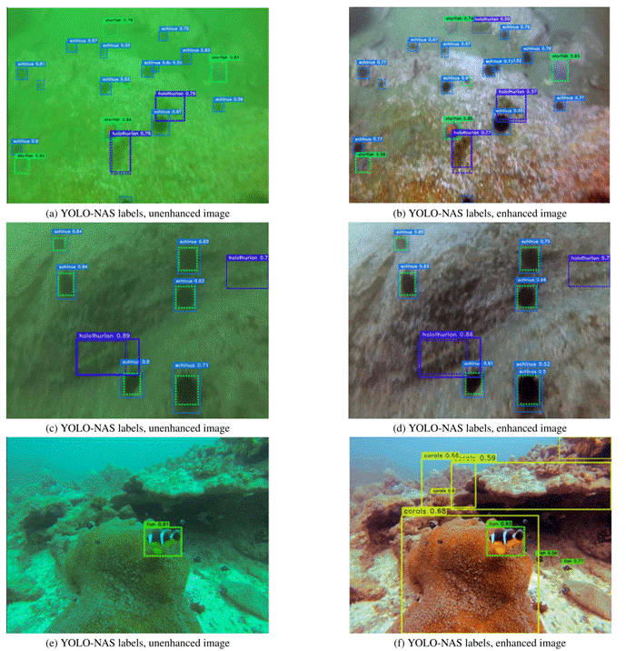 论文阅读笔记：水下图像增强和目标检测：由于缺少人类标签，增强图像上的目标检测结果很差吗？【WACV2025】_ruod数据集-CSDN博客