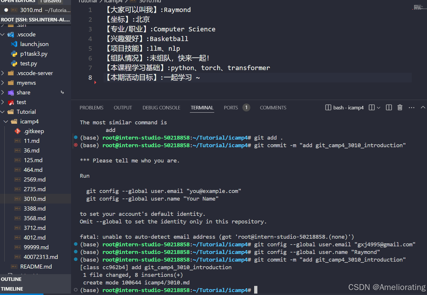 书生大模型实战营L0G3000-Git前置基础-CSDN博客