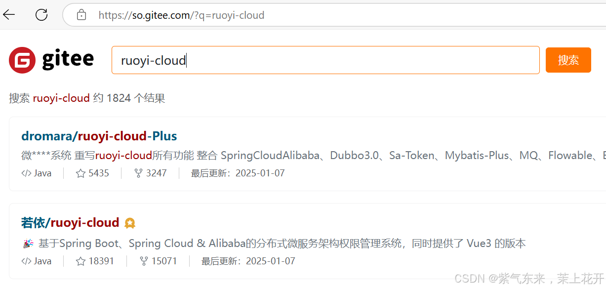 java若依框架RuoYi-cloud项目运行启动教程【傻瓜式教程】_若依cloud框架怎么启动-CSDN博客