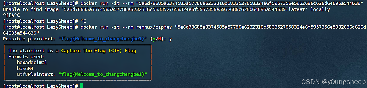 CTF实用工具-Ciphey docker部署安装-CSDN博客