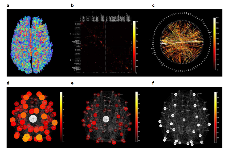 扩散 MRI 与结构连接组学：从原理到应用_概率性纤维追踪odf-CSDN博客