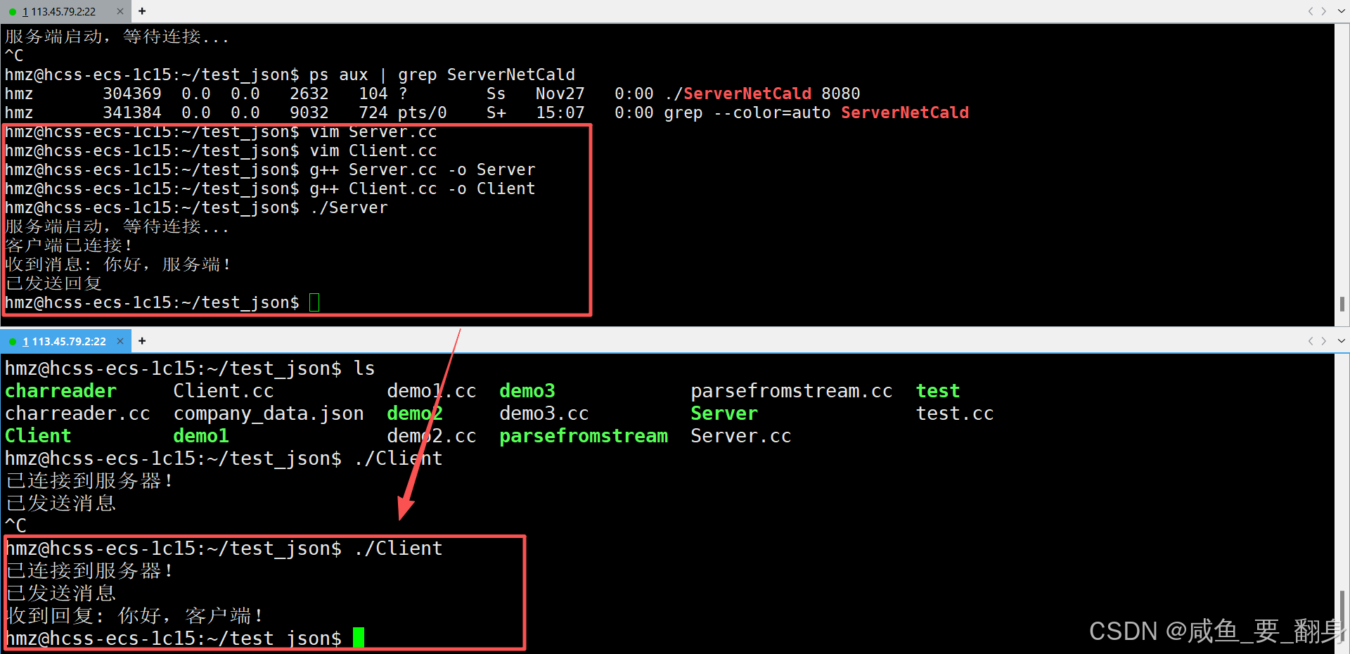 深入理解网络编程核心：send与recv函数-CSDN博客