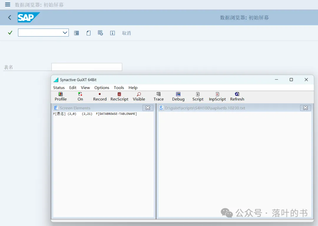 SAP GUI的装修小助手GuiXT_sap guixt用法-CSDN博客