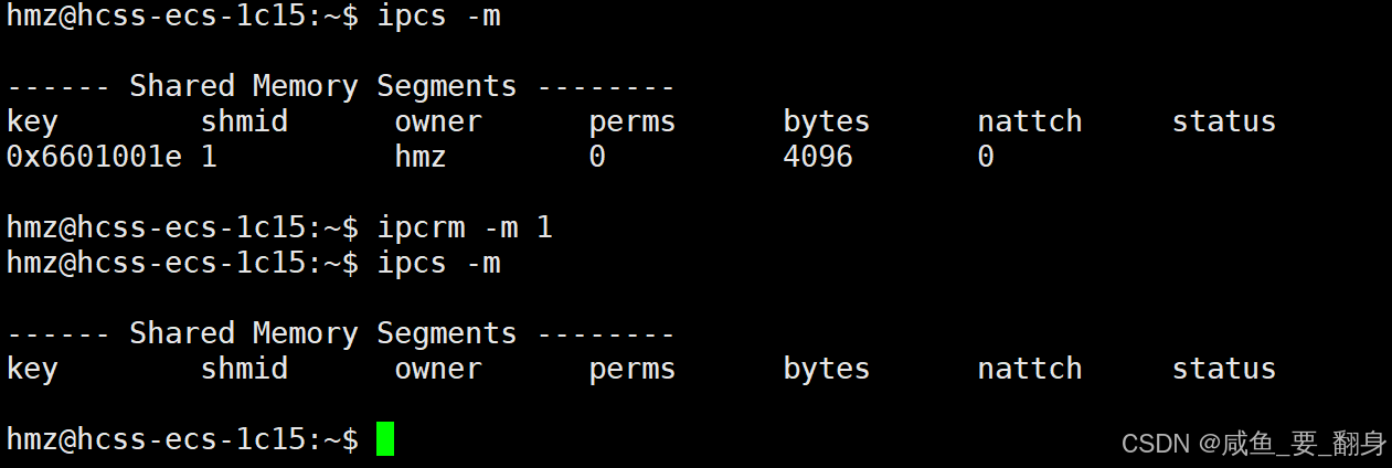 深入解析System V 共享内存：原理、实现与进程间通信_共享内存原理图-CSDN博客