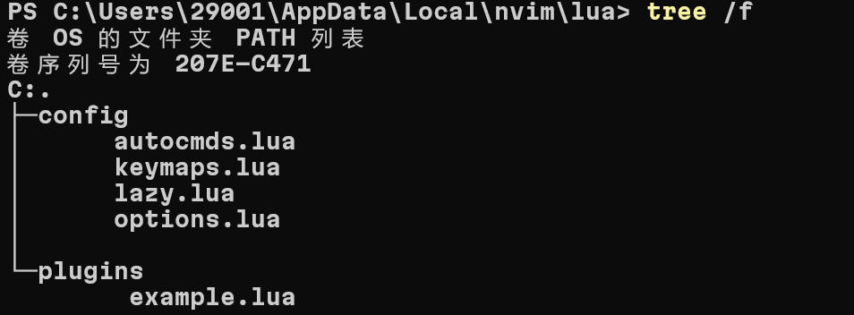 lazyvim的nvim文件夹详解_lazy.nvim-CSDN博客