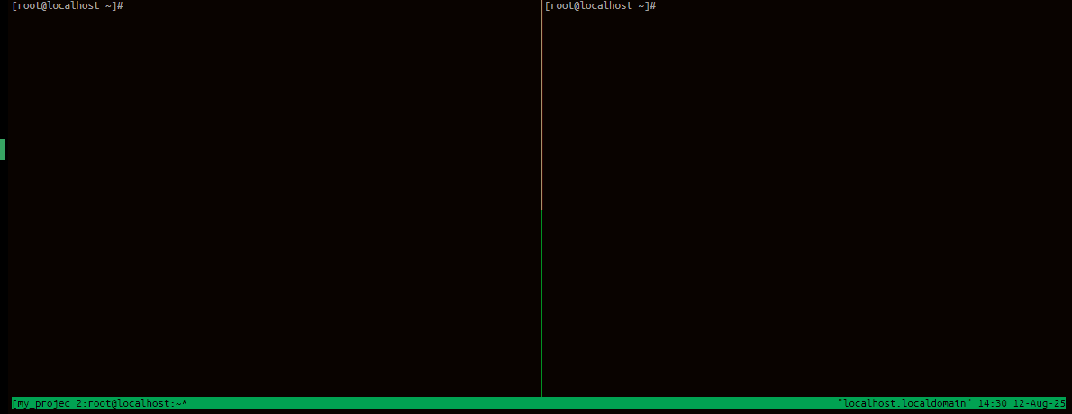Linux中tmux入门使用指南：告别SSH断线烦恼，提升终端工作效率的神器_tmux ctrl z-CSDN博客