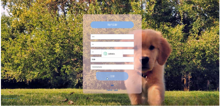 java/jsp/ssm宠物网站的设计与实现【2024年毕设】-CSDN博客
