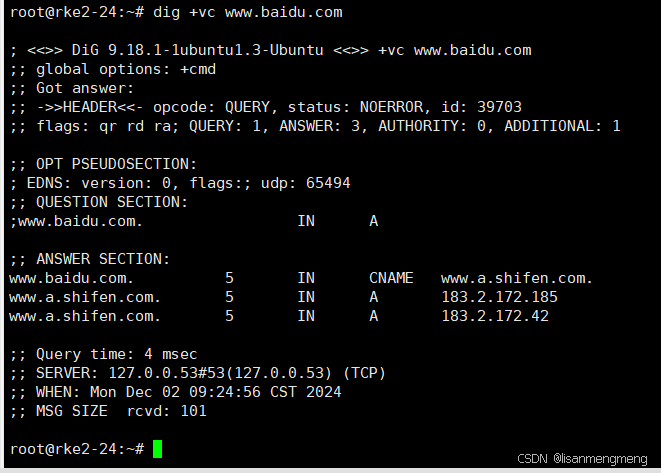 dig的查询使用_dig带key访问-CSDN博客
