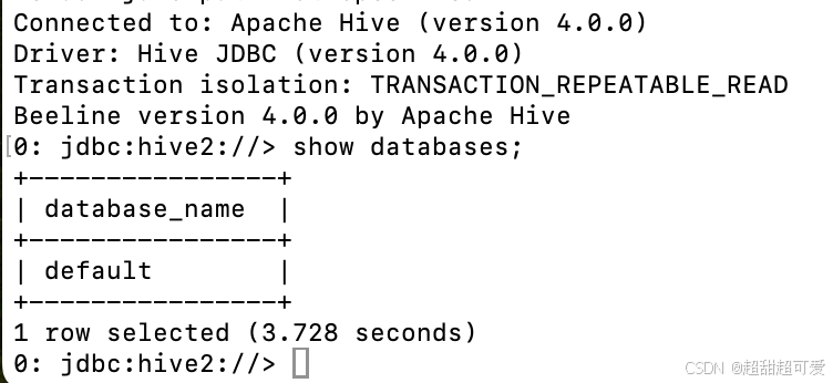 Mac安装Hive-CSDN博客