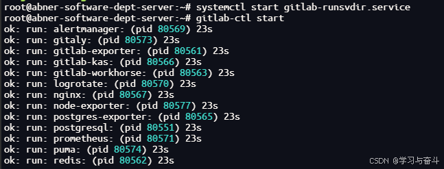 Ubuntu Gitlab 启动失败 报错 Runsv Not Runningfail Logrotate Runsv Not Running Csdn博客