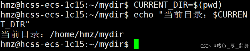 Linux基本命令篇 —— pwd命令_pwd返回的是当前文件的绝对路径还是绝对路径的目录-CSDN博客