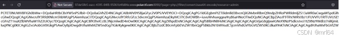 【PolarCTF网络安全2025春季个人挑战赛】个人WP_74447,-CSDN博客