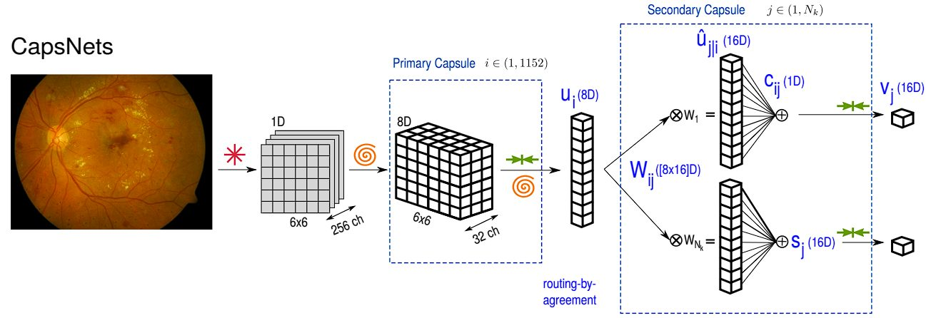 Capsule Network（胶囊网络）深度解析-CSDN博客