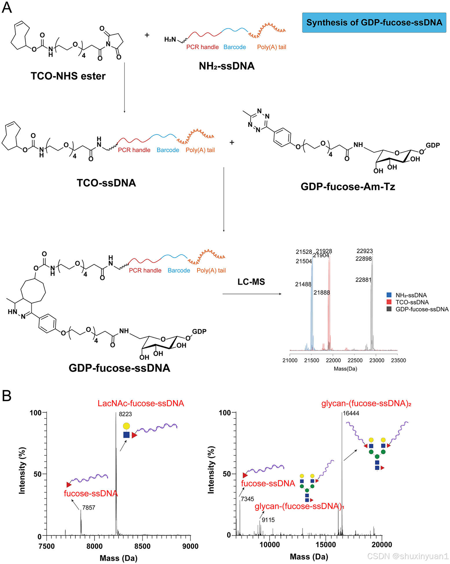 单细胞水平检测N-乙酰乳糖胺(LacNAc)的新型化学酶法与生信-CSDN博客