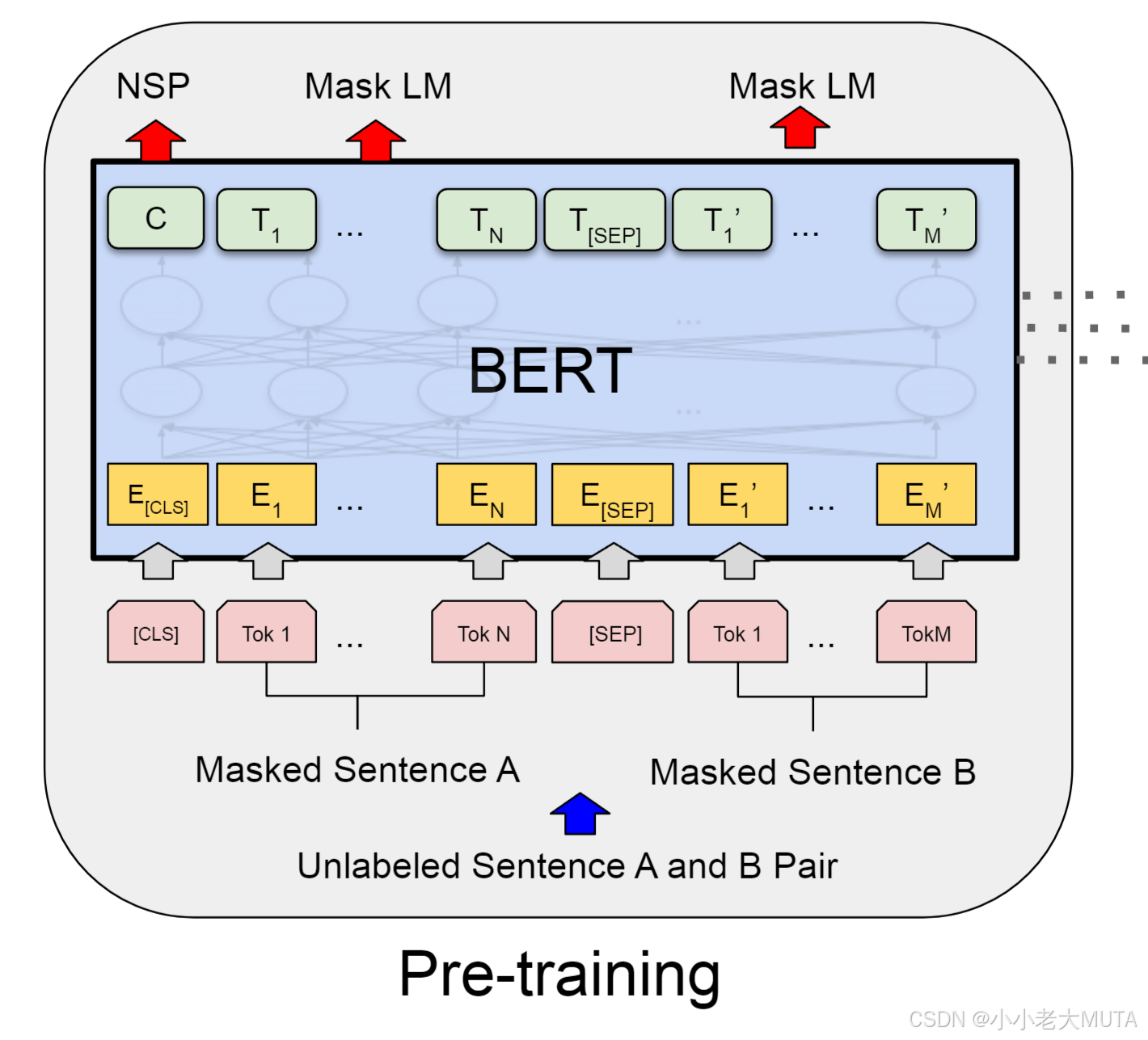 《BERT：Pre-training of Deep Bidirectional Transformers forLanguage Understanding》论文精读笔记_bert论文-CSDN博客