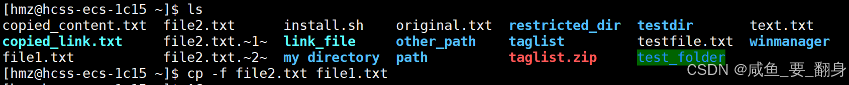 Linux基本命令篇 —— cp命令_linux cp-CSDN博客