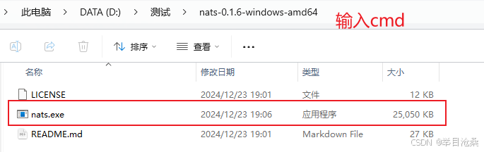 消息中间件 - 2.Nats_nats中间件-CSDN博客