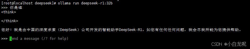 DeepSeek-R1 本地部署文档_pulling manifest-CSDN博客
