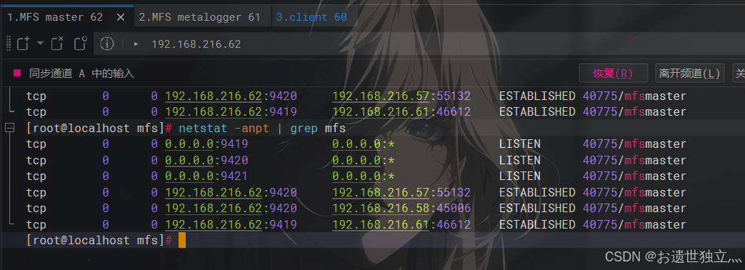 集群之---分布式存储MFS_mfs分布式存储-CSDN博客