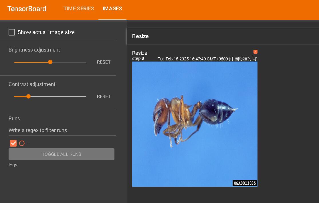 PyTorch深度学习快速入门教程（绝对通俗易懂！）【小土堆】——P12：常见的Transforms（二）-CSDN博客