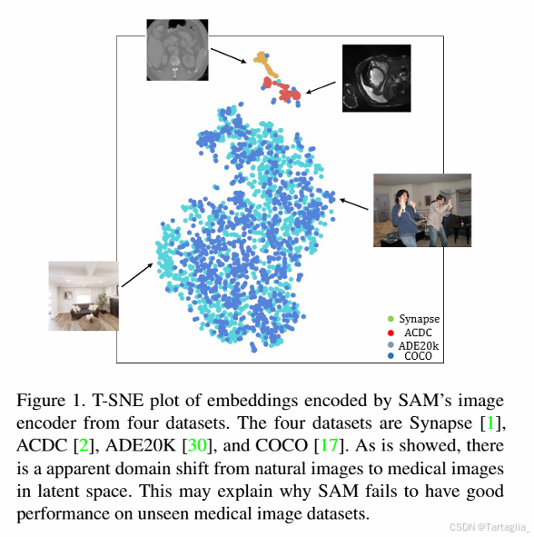 How to Efficiently Adapt Large Segmentation Model(SAM) to Medical ...