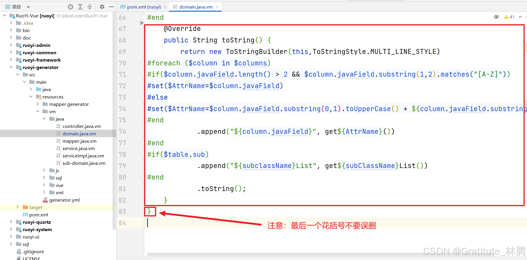 若依框架-代码生成器_lombok集成_若依集成lombok-CSDN博客