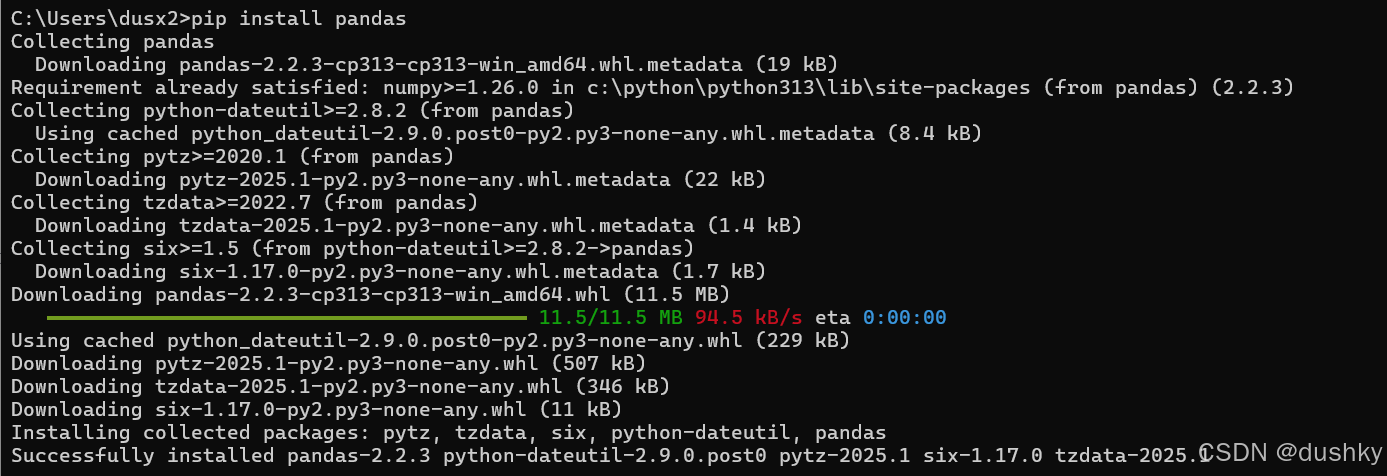 无法从源解析导入“pandas”？_无法从源解析导入pandas-CSDN博客