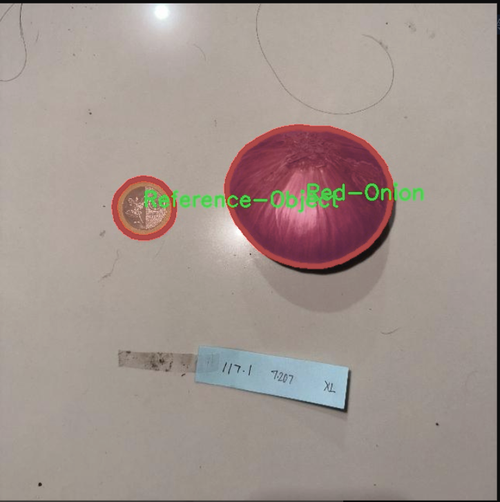 【完整源码+数据集+部署教程】洋葱图像分割系统： yolov8-seg-C2f-DWR-CSDN博客