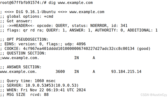 【Seed-Labs 2.0】Local DNS Attack Lab_seedlab dns-CSDN博客