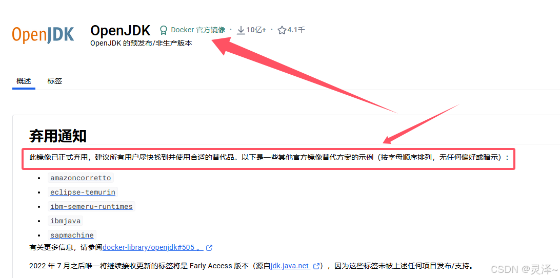 java.lang.NullPointerException: Cannot invoke “jdk.internal.platform ...