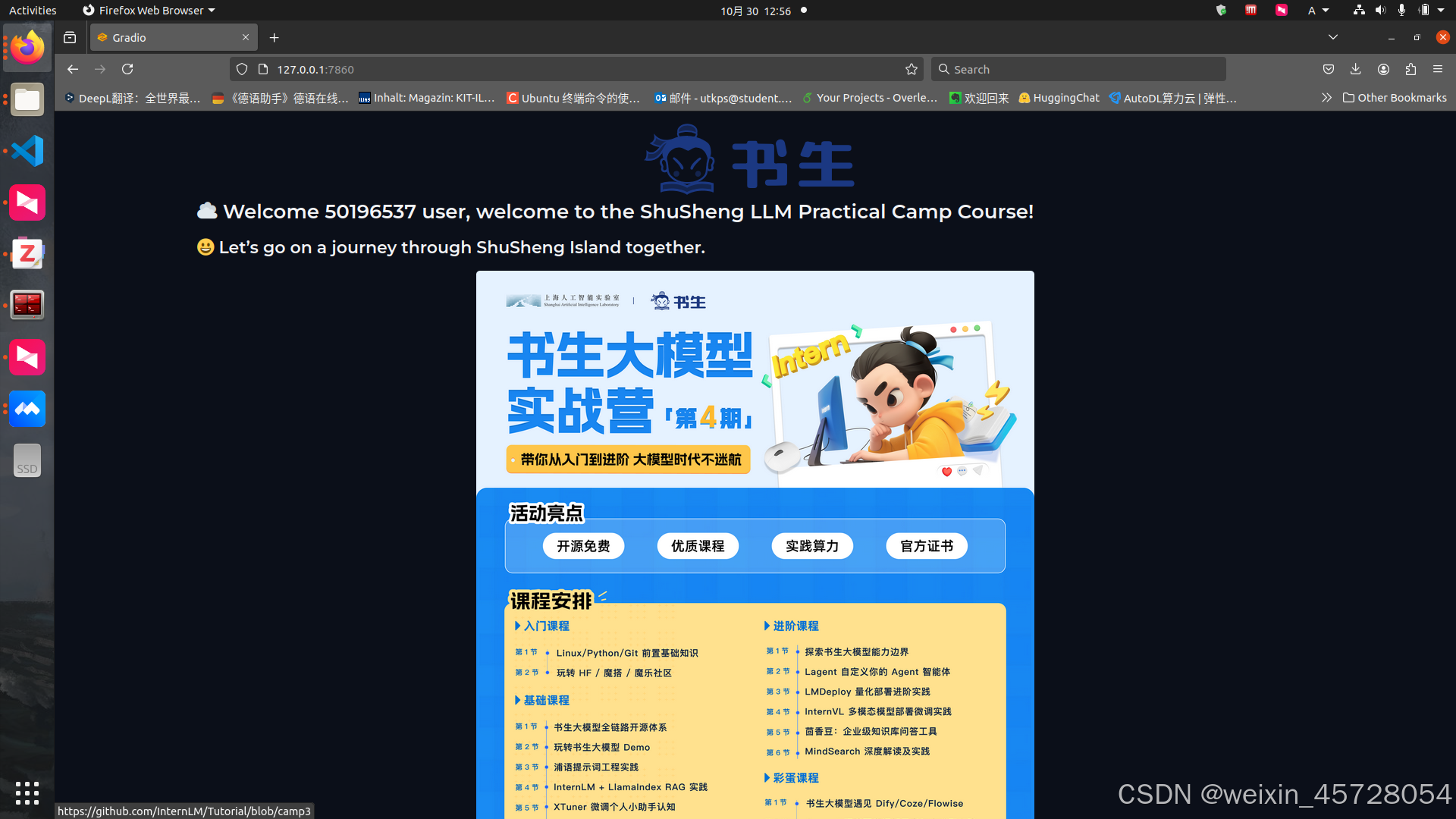 [InternVL]公开课入门岛_internvl api调用-CSDN博客