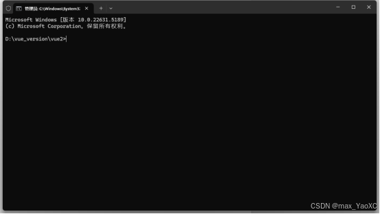 vue2和vue3共存在一个系统，并分别创建对应项目，使用vue-cli 5.0.8版本创建vue2项目_电脑同时安装vue2和vue3-CSDN博客